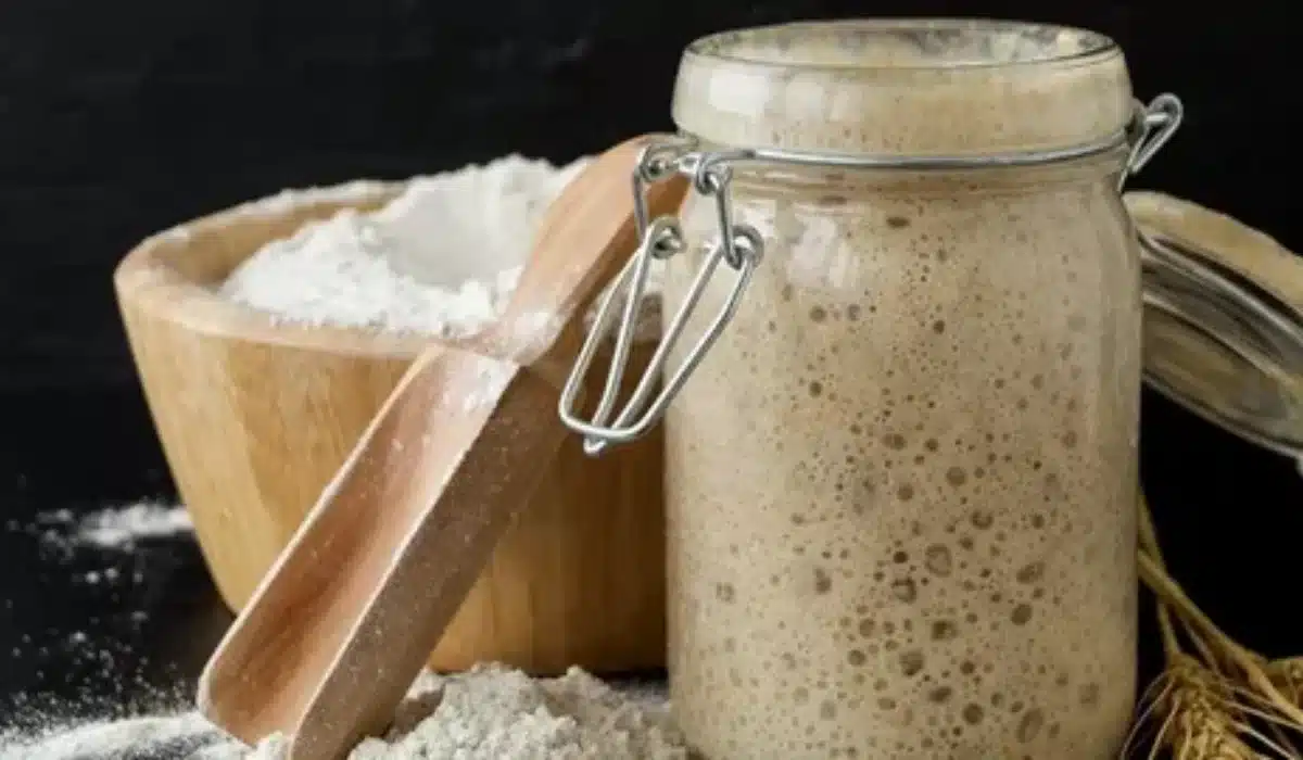 Como fazer fermento natural (leavain)- Receitas Maravilhosa
